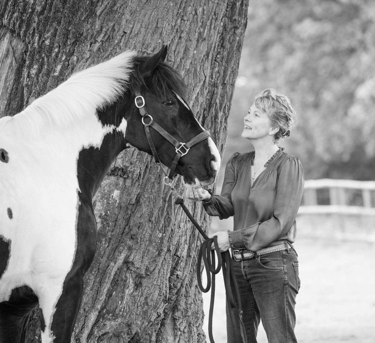 Where heart meets art - Equine portraits